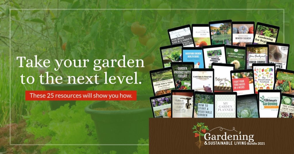 The Frugal Mom's Guide to Meal Planning on a Budget - MFTM